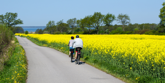 Viktigaste reglerna för anställdas semesterledighet – Tidningen Konsulten